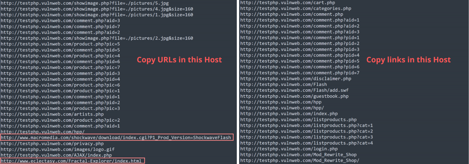 How to use Burp Suite Like a PRO? PART - 1 - Pethuraj's Blog