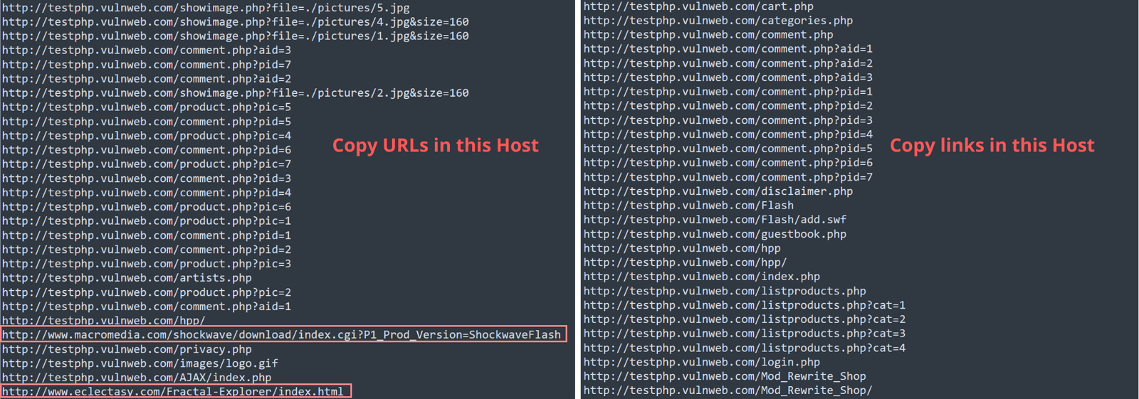 How to use Burp Suite Like a PRO? PART - 1 - Pethuraj's Blog