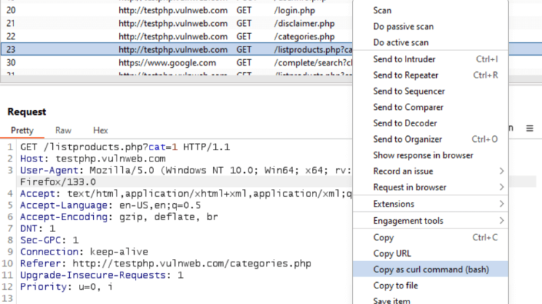 How to use Burp Suite Like a PRO? PART – 2 - Pethuraj's Blog